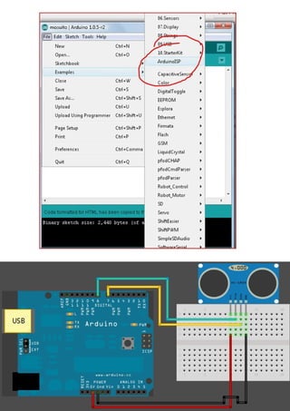 MMP - Eradication of Mosquitoes with DIY Bat Houses & Electronic Pest ...
