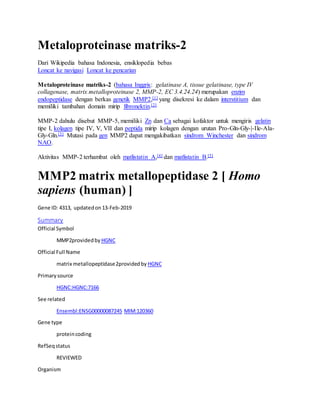 Mmp 2 | PDF