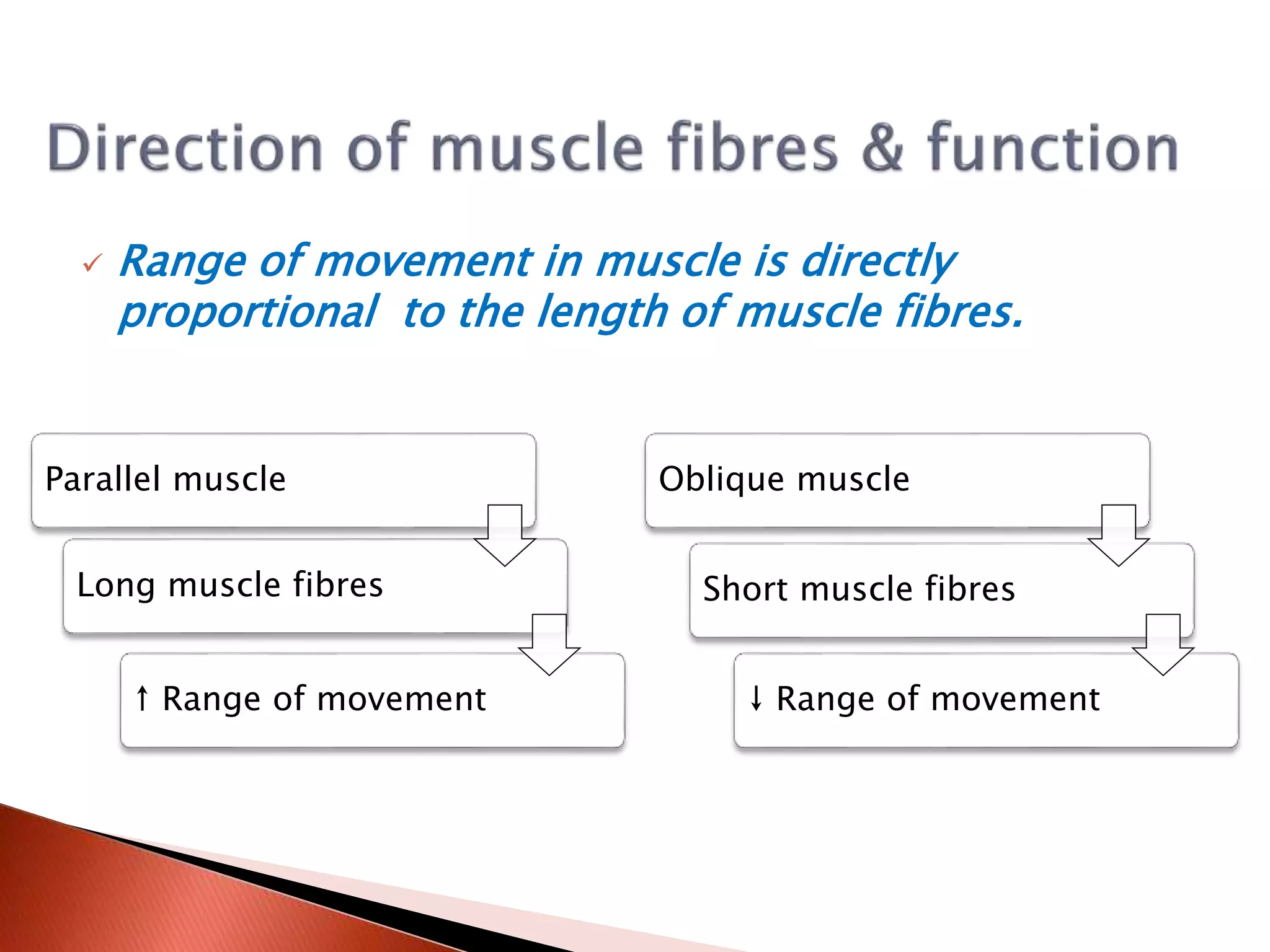 General principles of skeletal muscle | PPTX
