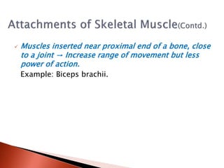 General principles of skeletal muscle | PPT