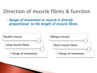 General principles of skeletal muscle | PPT