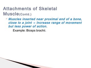 General principles of skeletal muscle | PPT