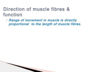 General principles of skeletal muscle | PPT