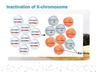 Epigenetics | PPTX