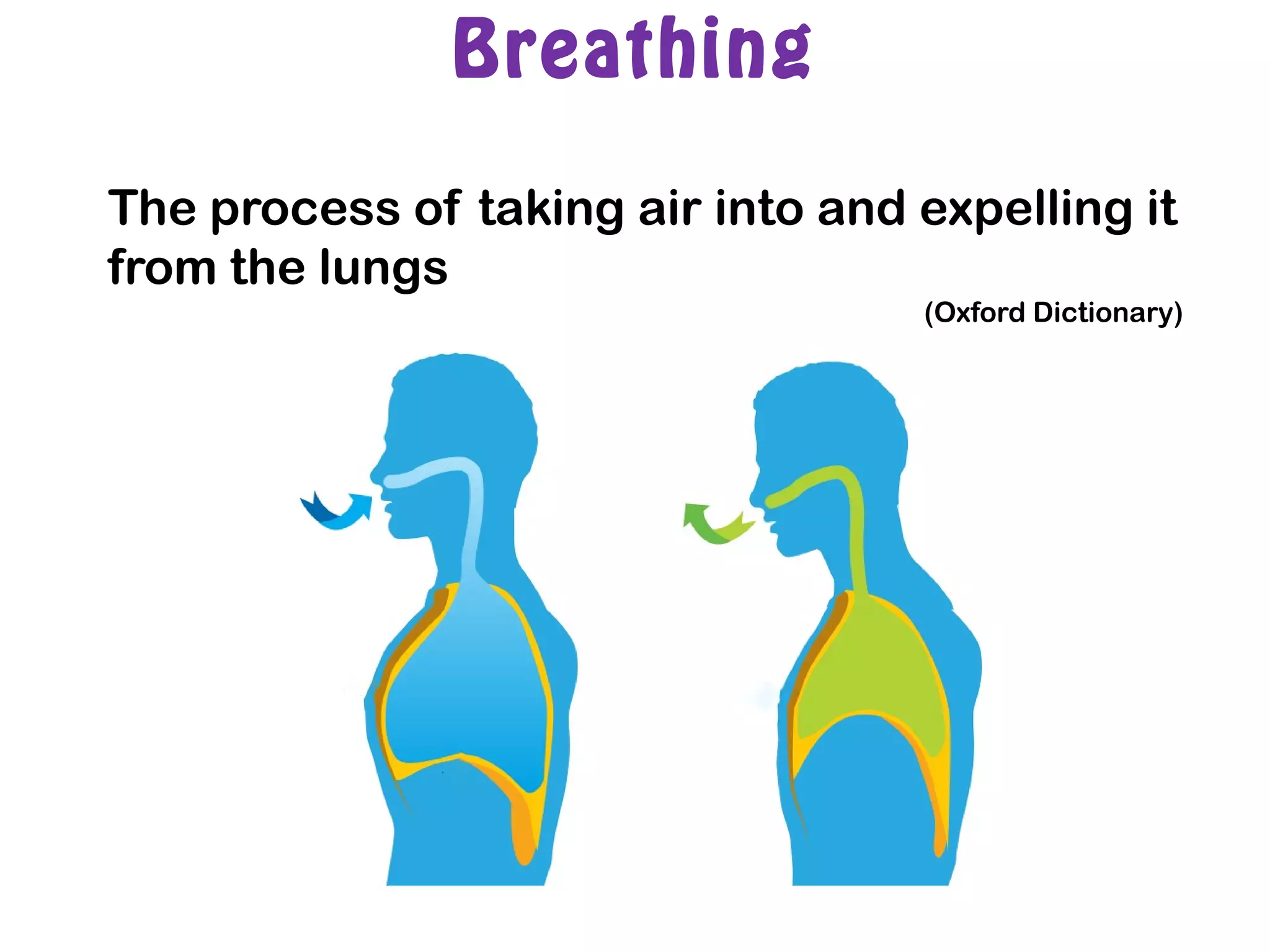 Anatomy of Selected Physiological Processes | PPT