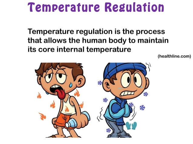 Anatomy of Selected Physiological Processes | PPT