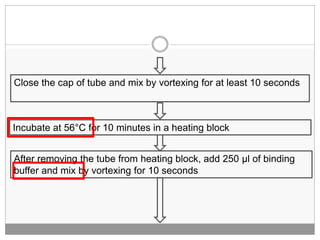 DNA Extraction and Quantity-Quality Check | PPTX
