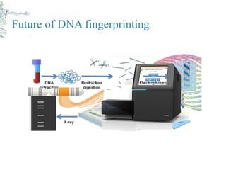 Dna Fingerprinting Machine