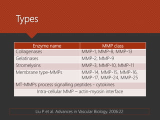 Mmp in cvd | PPTX