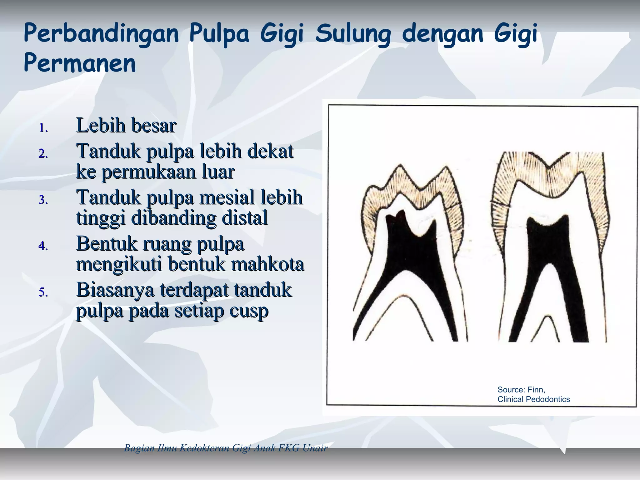 Mmp morfologi gigi sulung | PPT