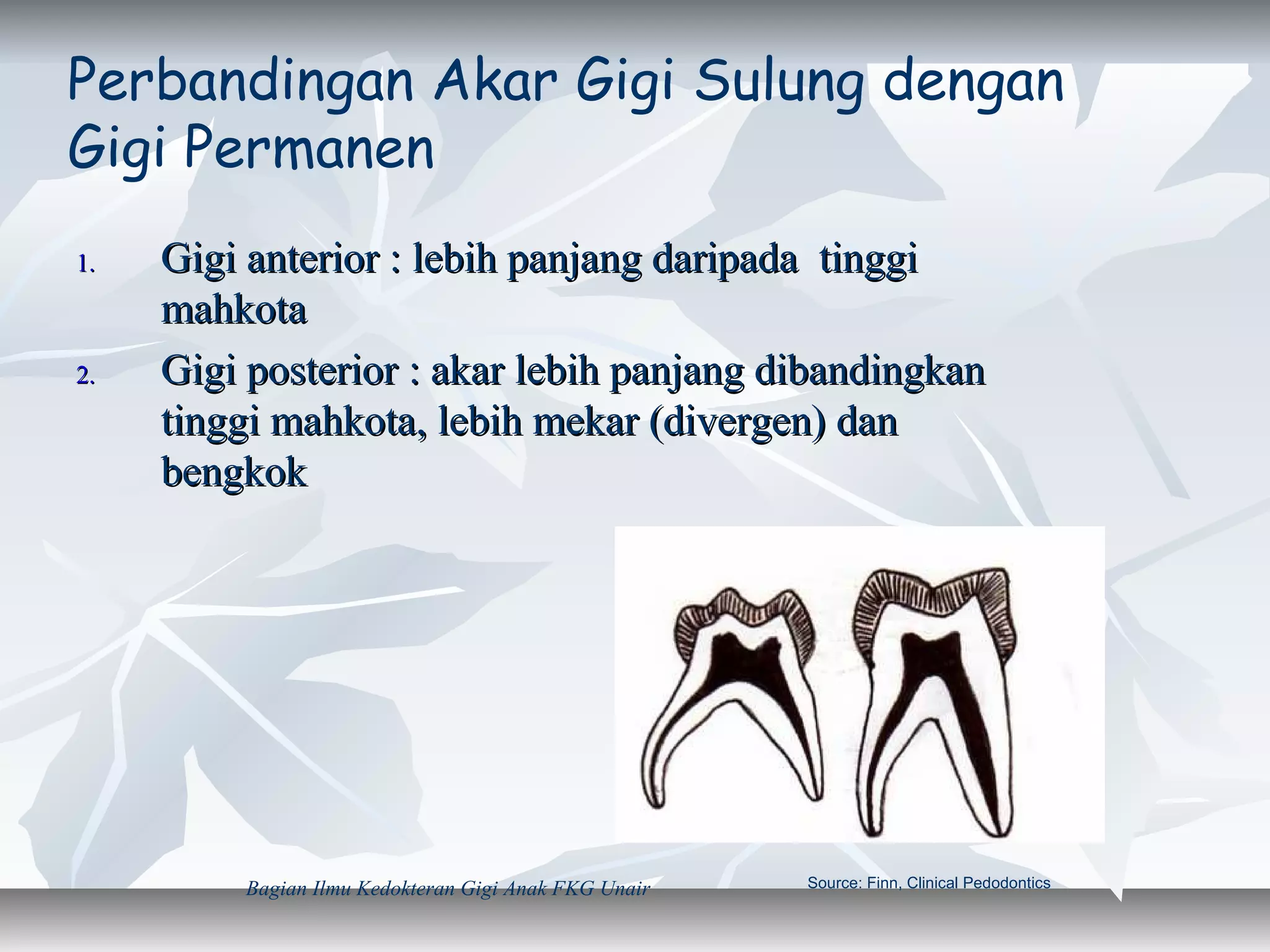 Mmp morfologi gigi sulung | PPT