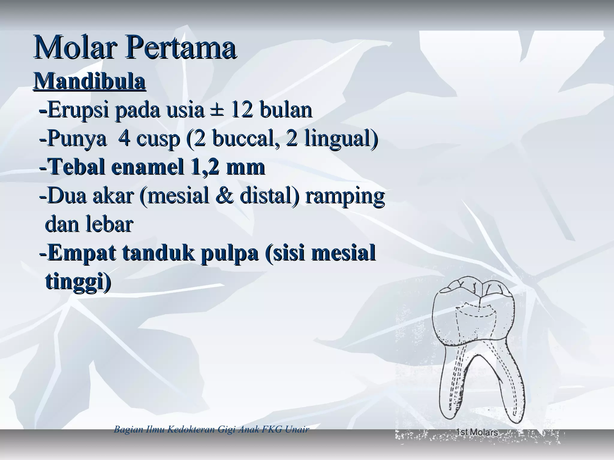 Mmp morfologi gigi sulung | PPT