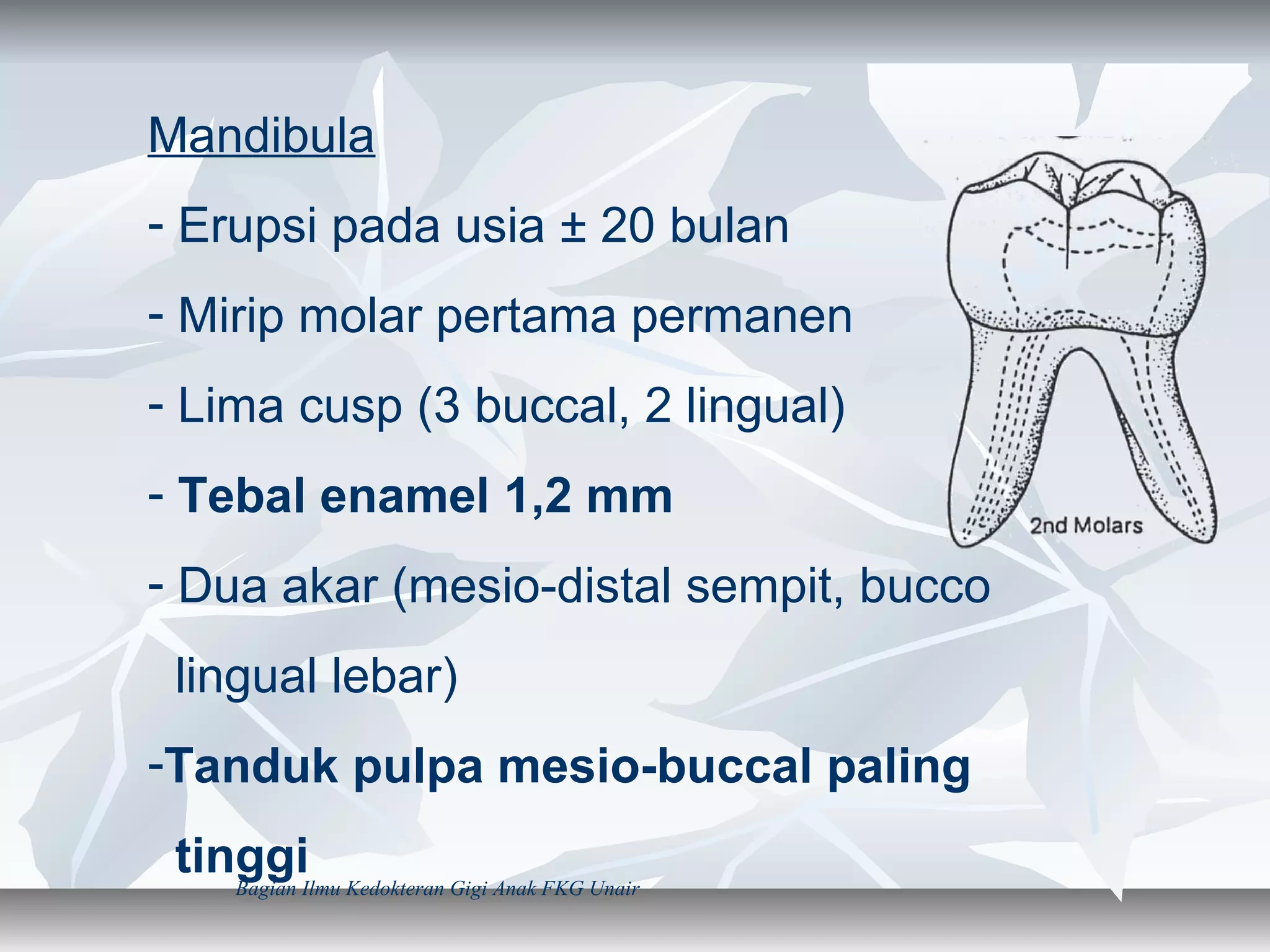 Mmp morfologi gigi sulung | PPT
