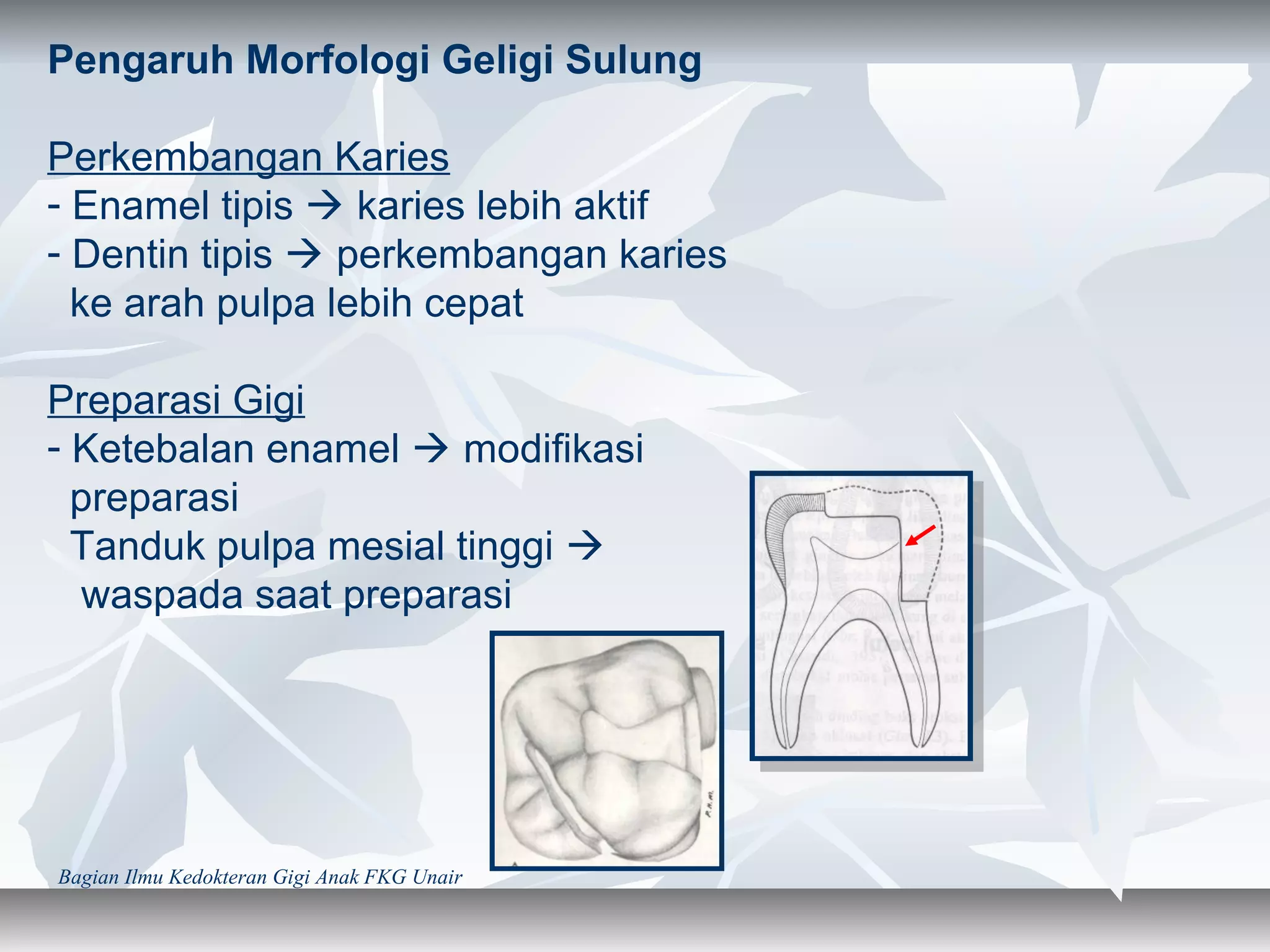 Mmp morfologi gigi sulung | PPT