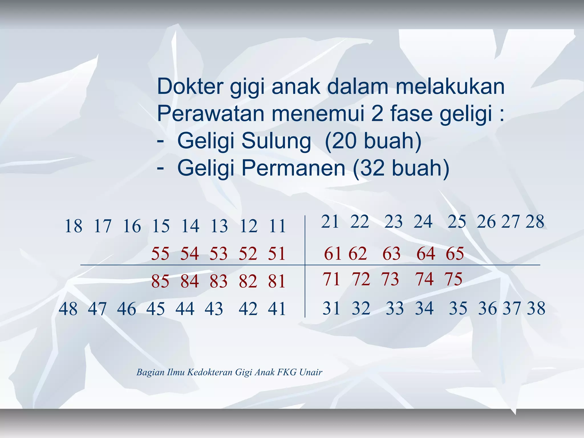 Mmp morfologi gigi sulung | PPT