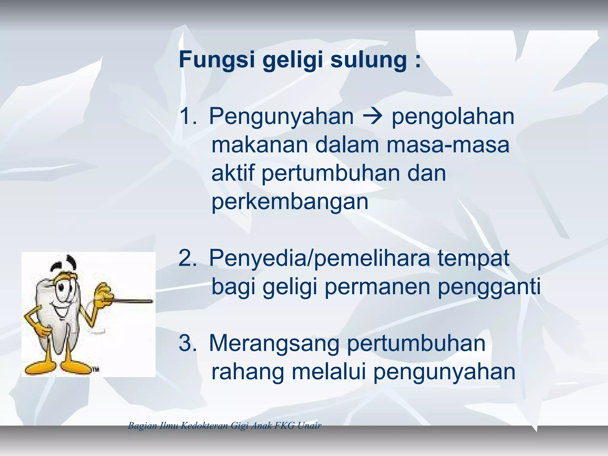 Mmp morfologi gigi sulung | PPT