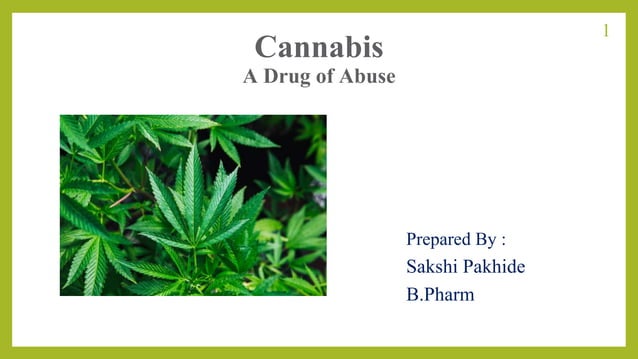 Cannabis | PPT