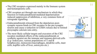 Cannabis | PPTX | Illegal Drugs, Tobacco, eCigarettes, Vaping, Alcohol ...
