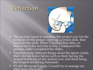 The Sperm Whale | PPT