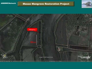 Masao River Mangrove tour | PPT