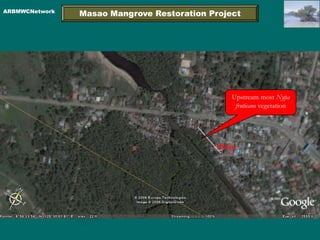 Masao River Mangrove tour | PPT