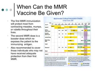 MMR Slide Show (Final) | PPT