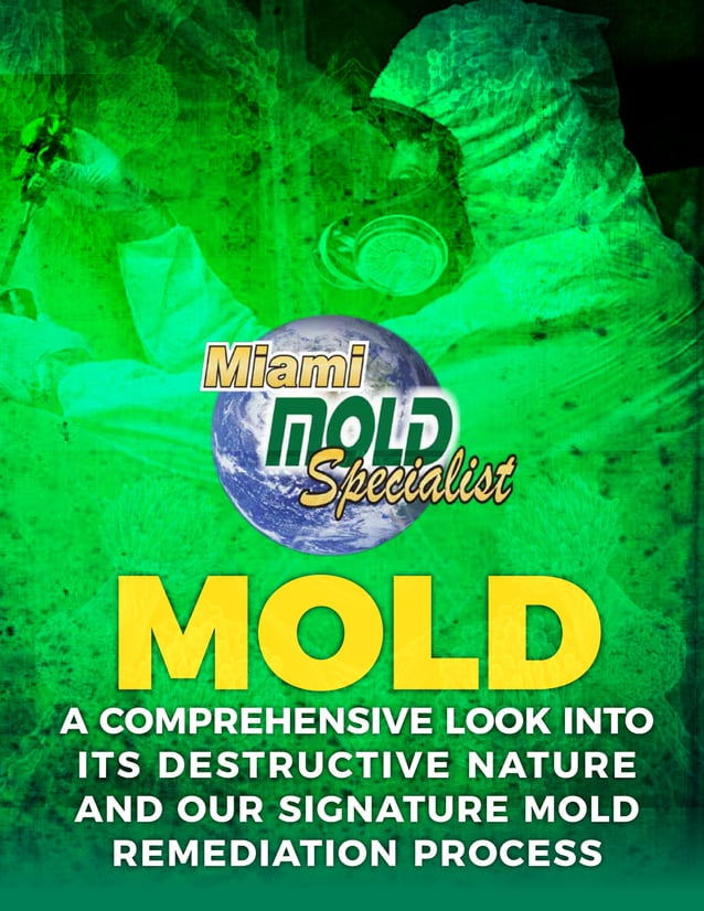 Mold Assessment Miami Beach | PDF