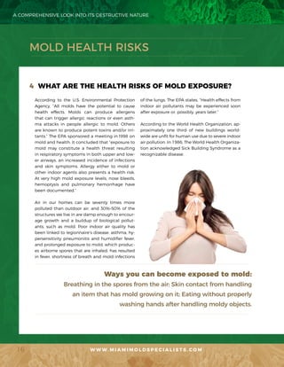 Mold Assessment Miami Beach | PDF