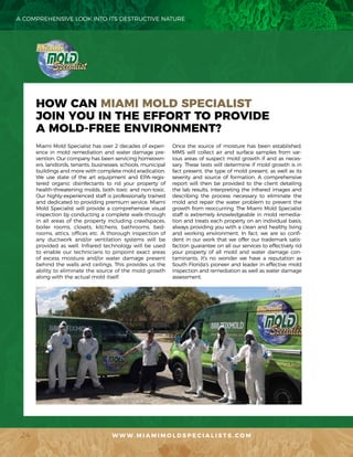 Mold Assessment Miami Beach | PDF