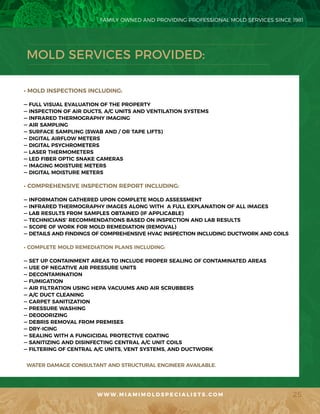 Mold Assessment Miami Beach | PDF