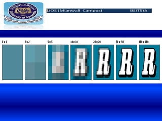 Mms resolution | PPTX