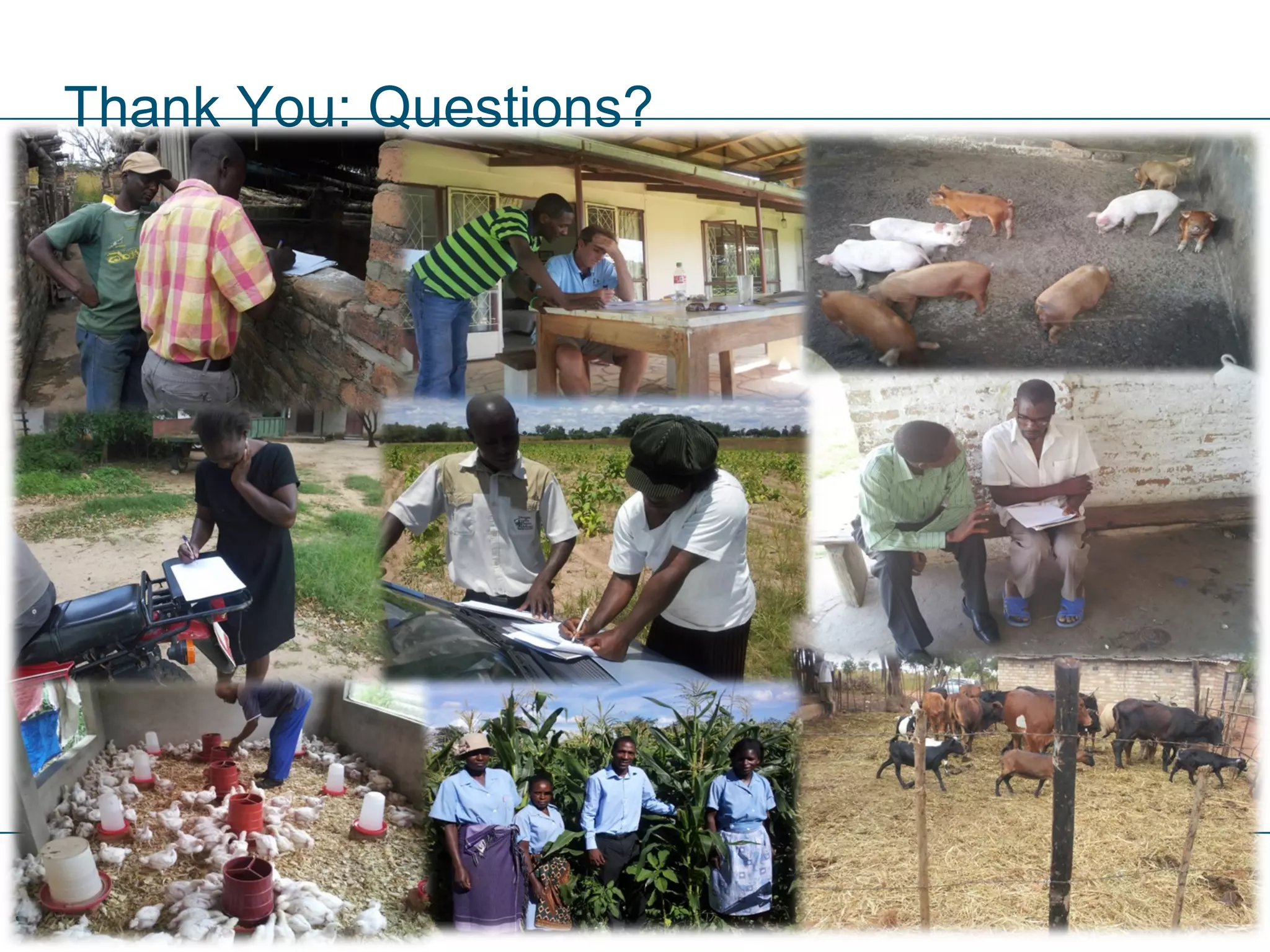 Strategies to link smallholder farmers to markets in Zimbabwe | PPT ...