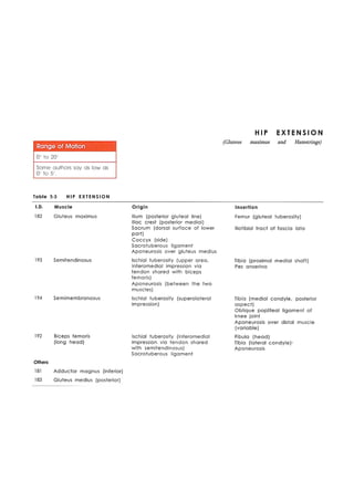 Daniels and worthingham's manual eamination MMT- LOWER EXTREMITY.pdf