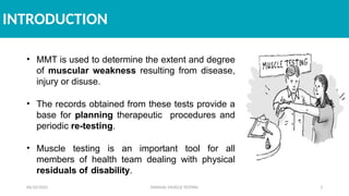 MMT_258278. If you type of stimulation in your belly | PPT