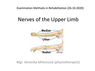 MMT__4__Nerves_of_the_upper_limb and all Data | PDF