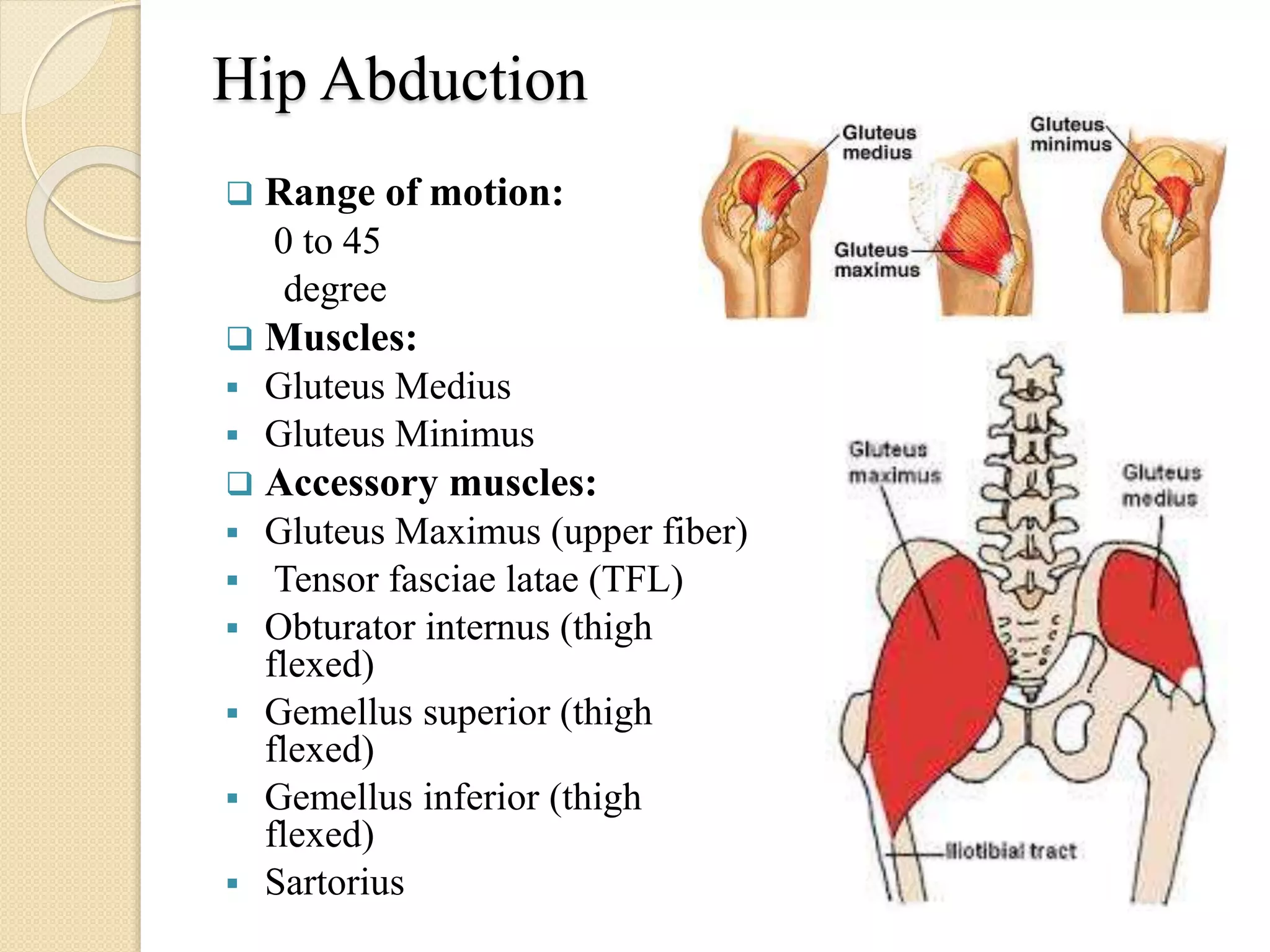 Mmt f0r hip | PPTX