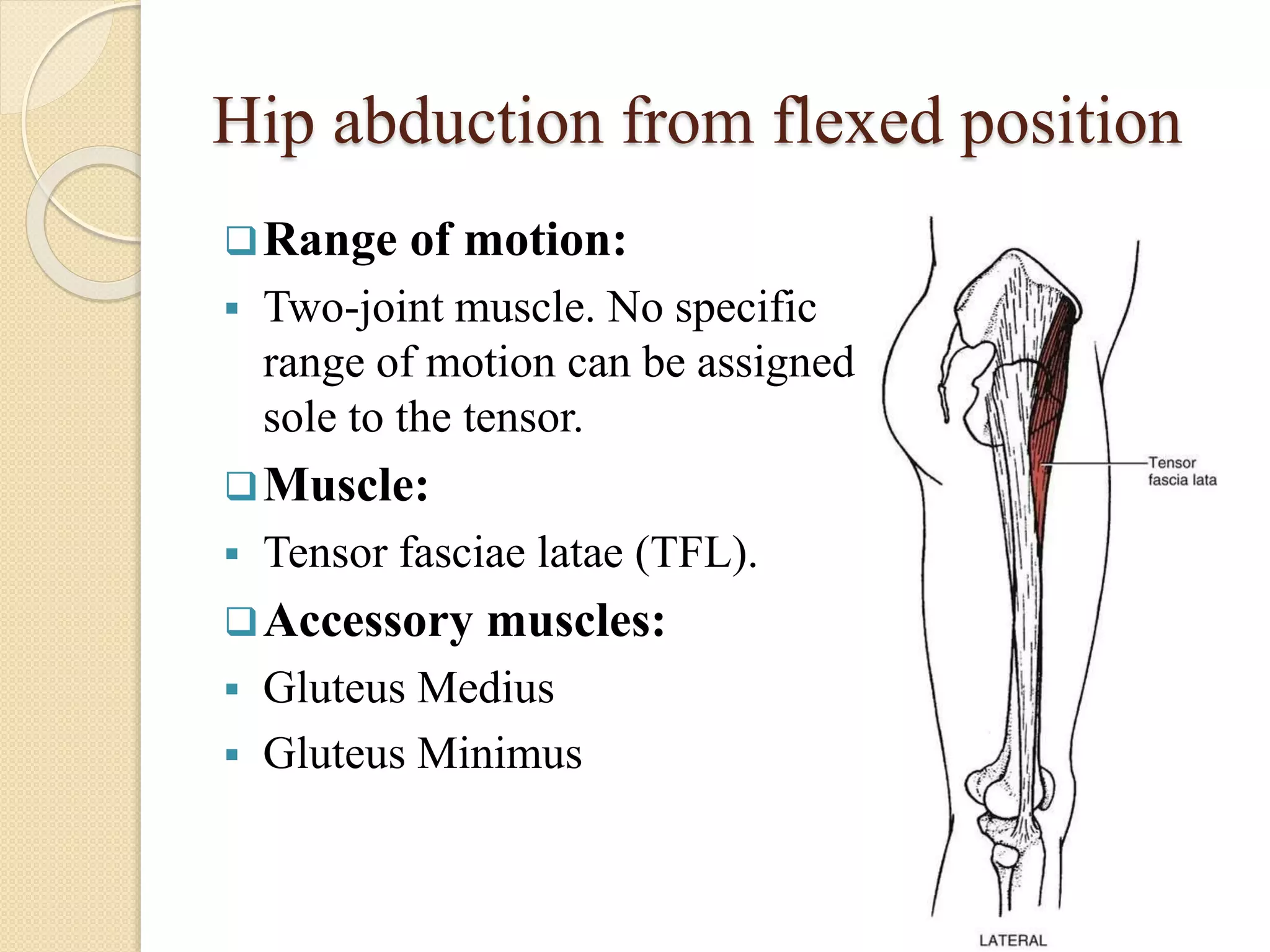 Mmt f0r hip | PPTX