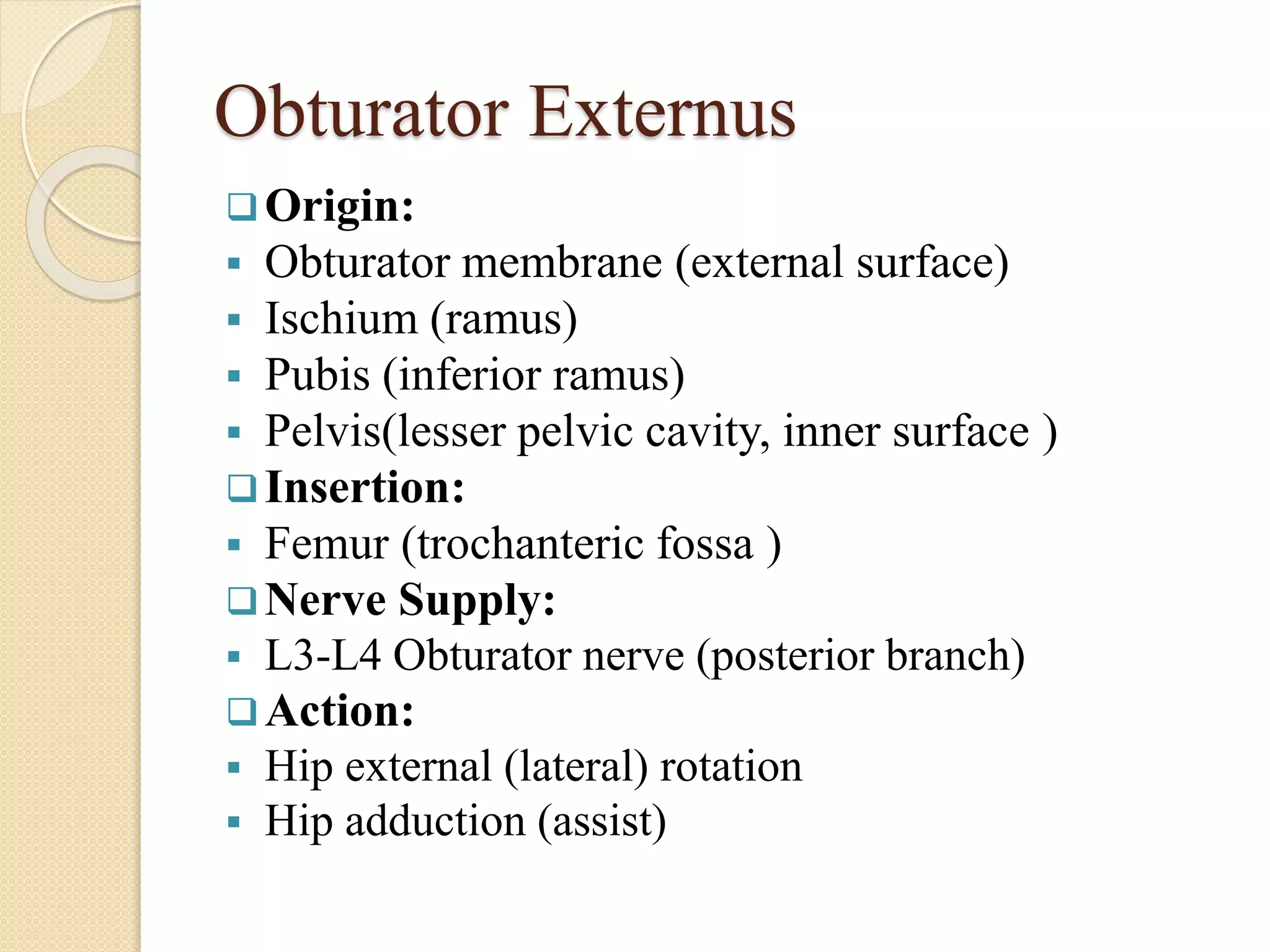 Mmt f0r hip | PPTX