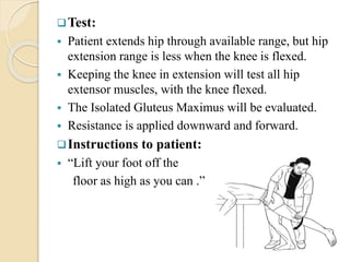 Mmt f0r hip | PPTX