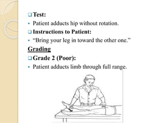Mmt f0r hip | PPTX