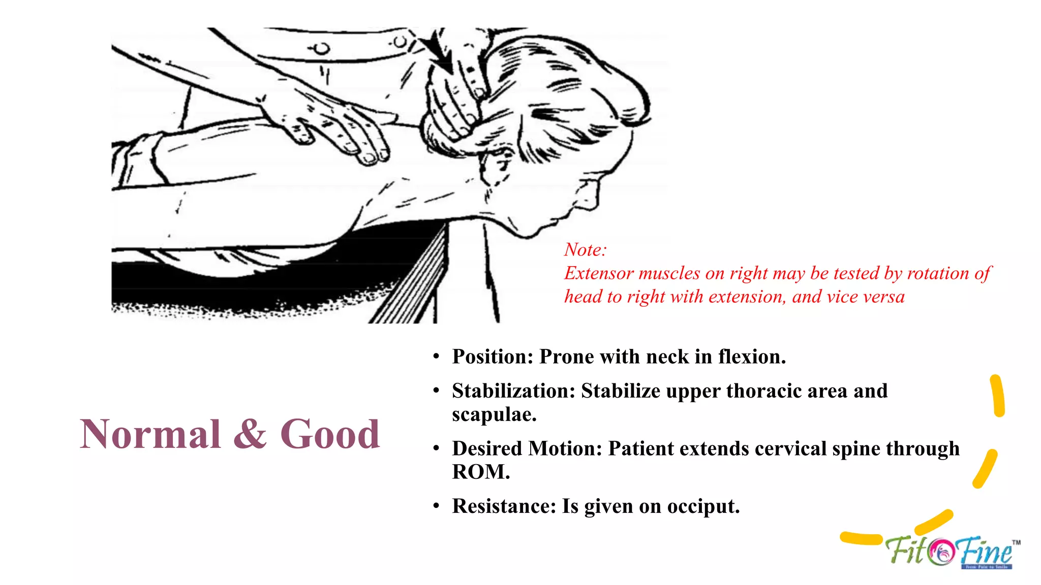 MMT Neck & Scapula.pptx