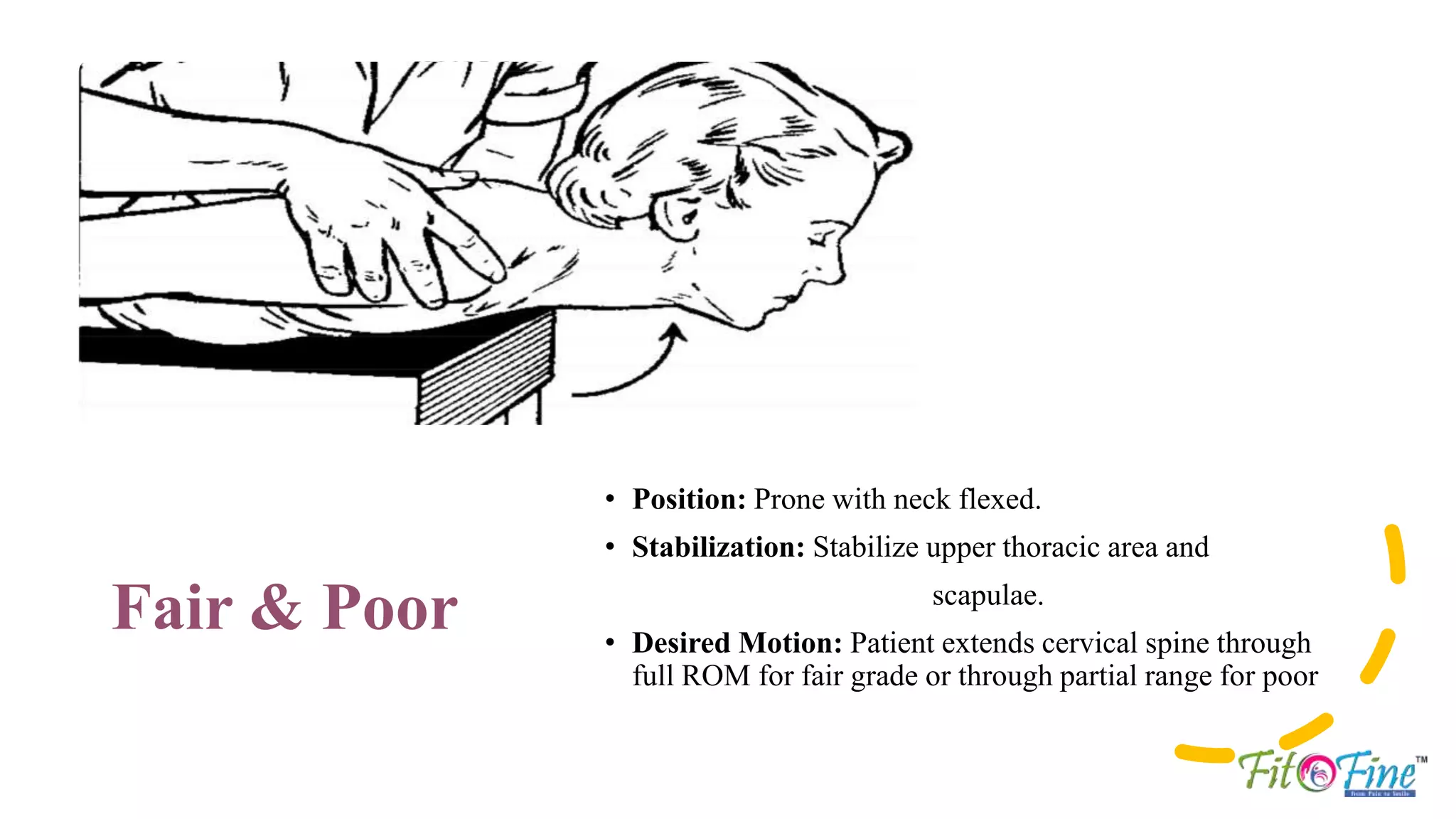 MMT Neck & Scapula.pptx