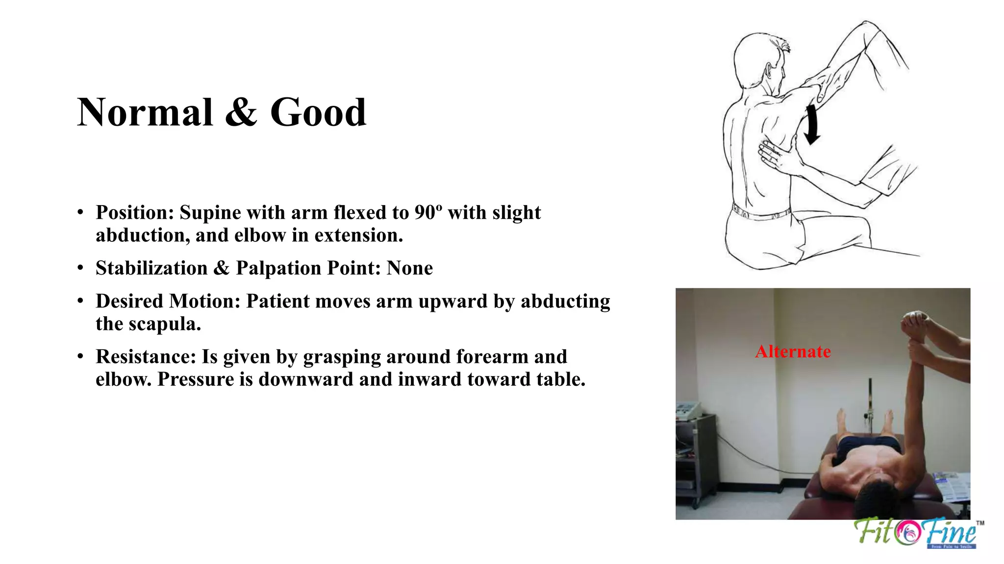 MMT Neck & Scapula.pptx