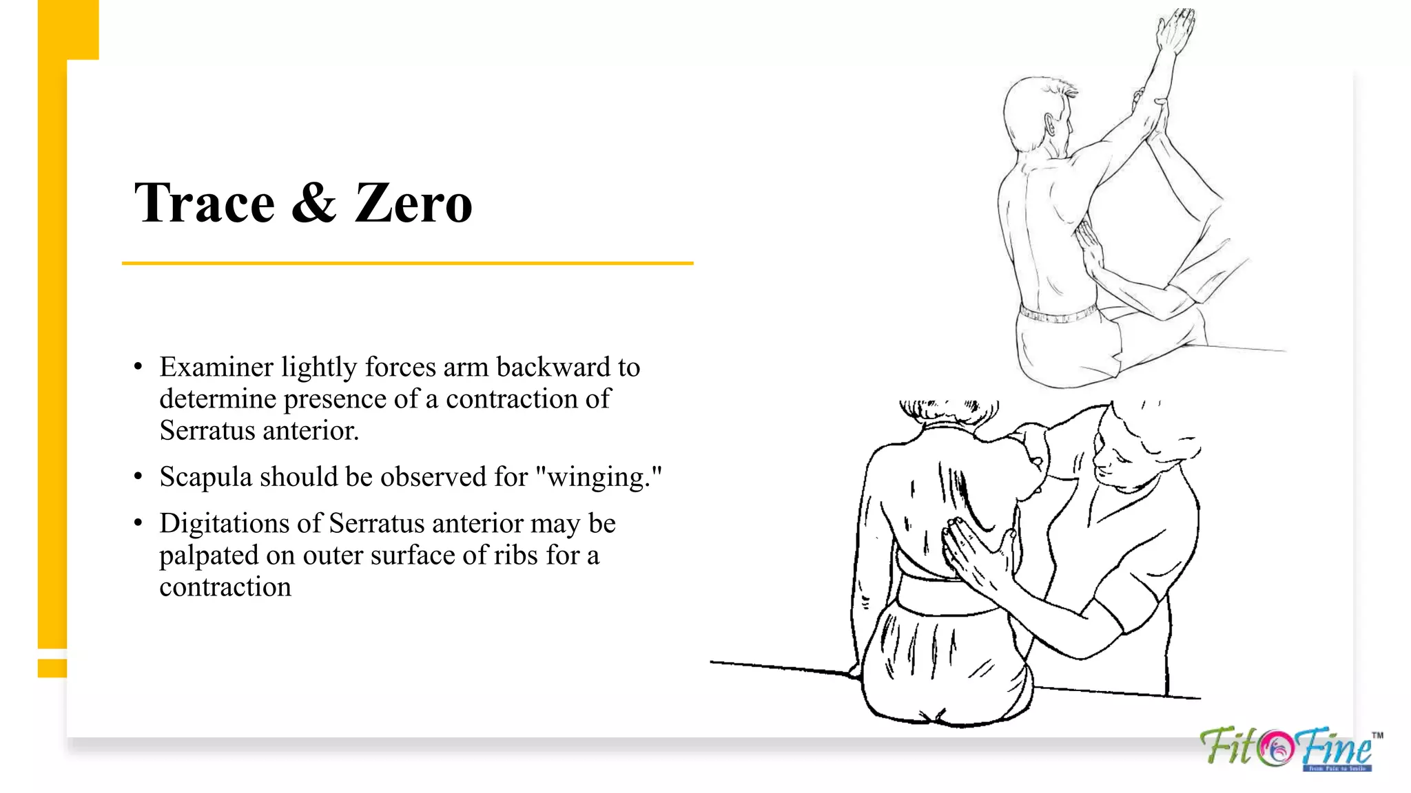 MMT Neck & Scapula.pptx