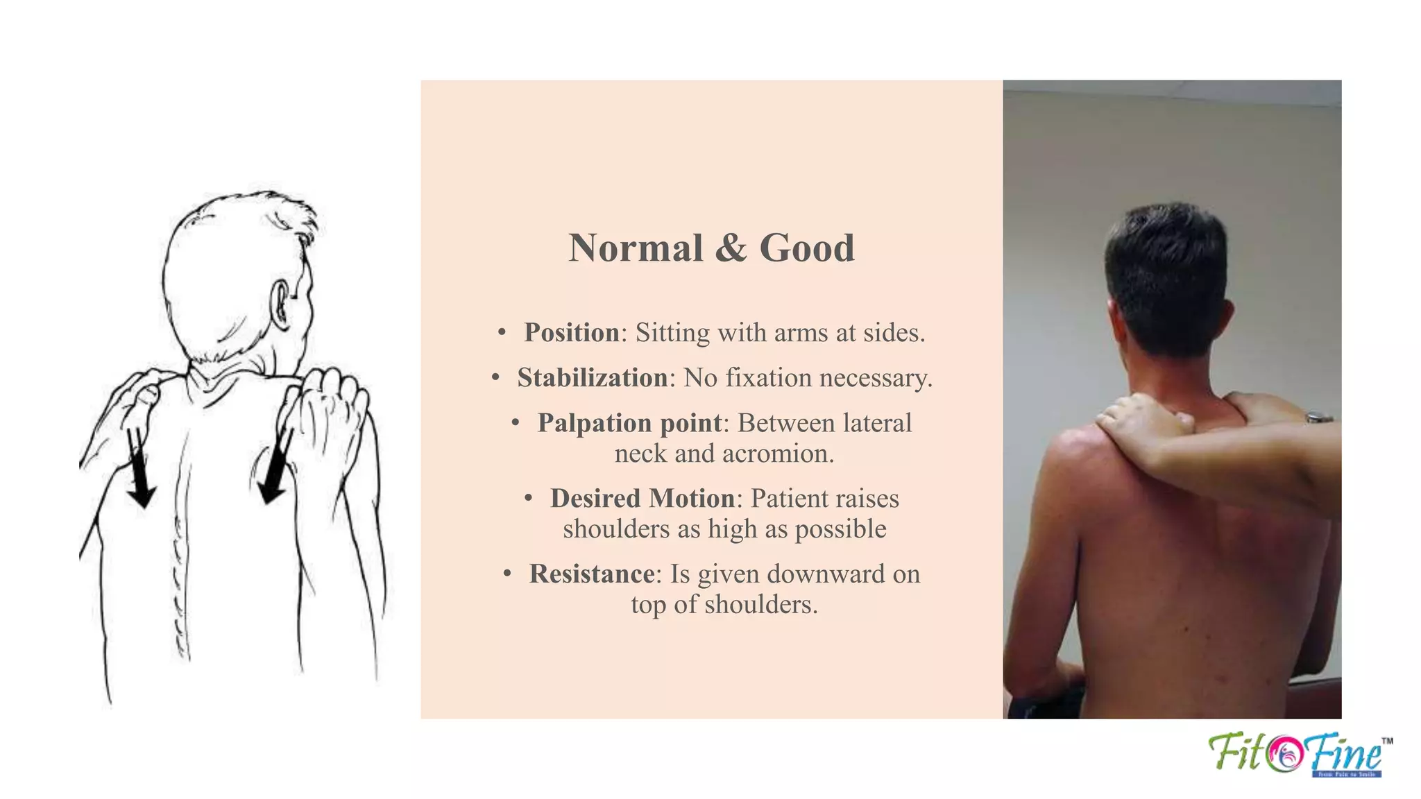 MMT Neck & Scapula.pptx