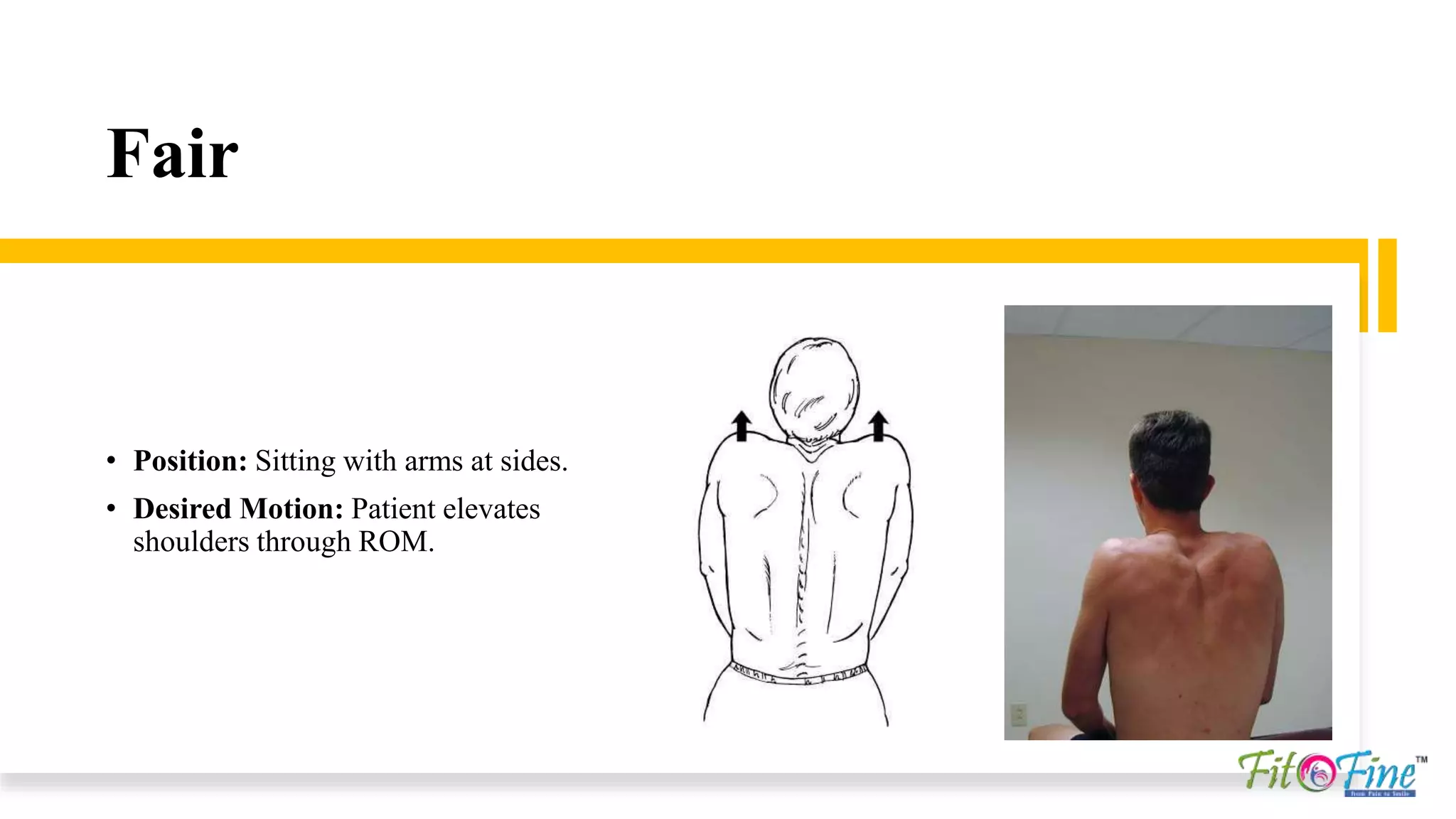 MMT Neck & Scapula.pptx