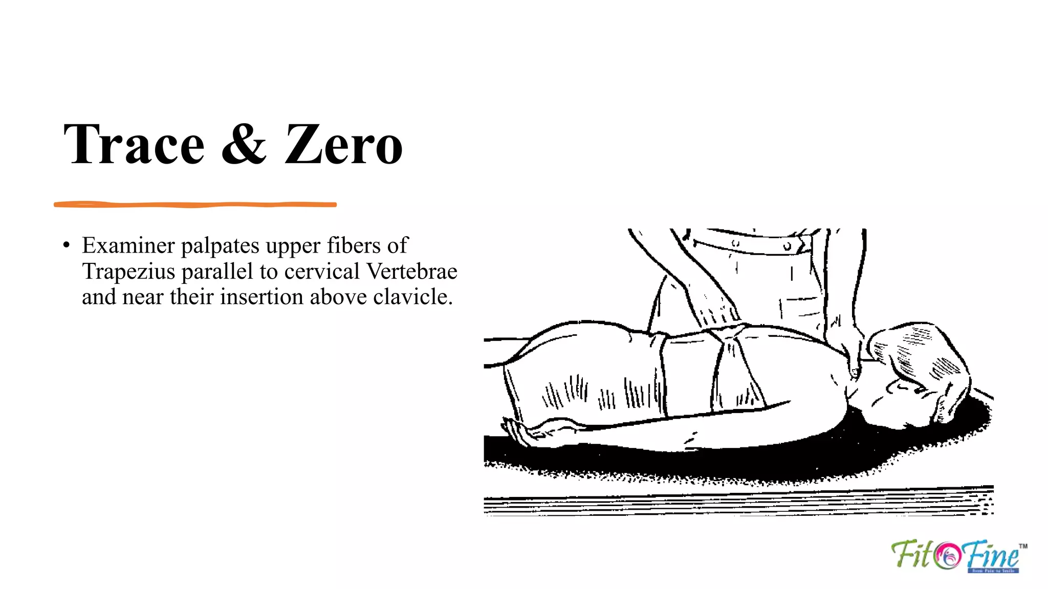 MMT Neck & Scapula.pptx