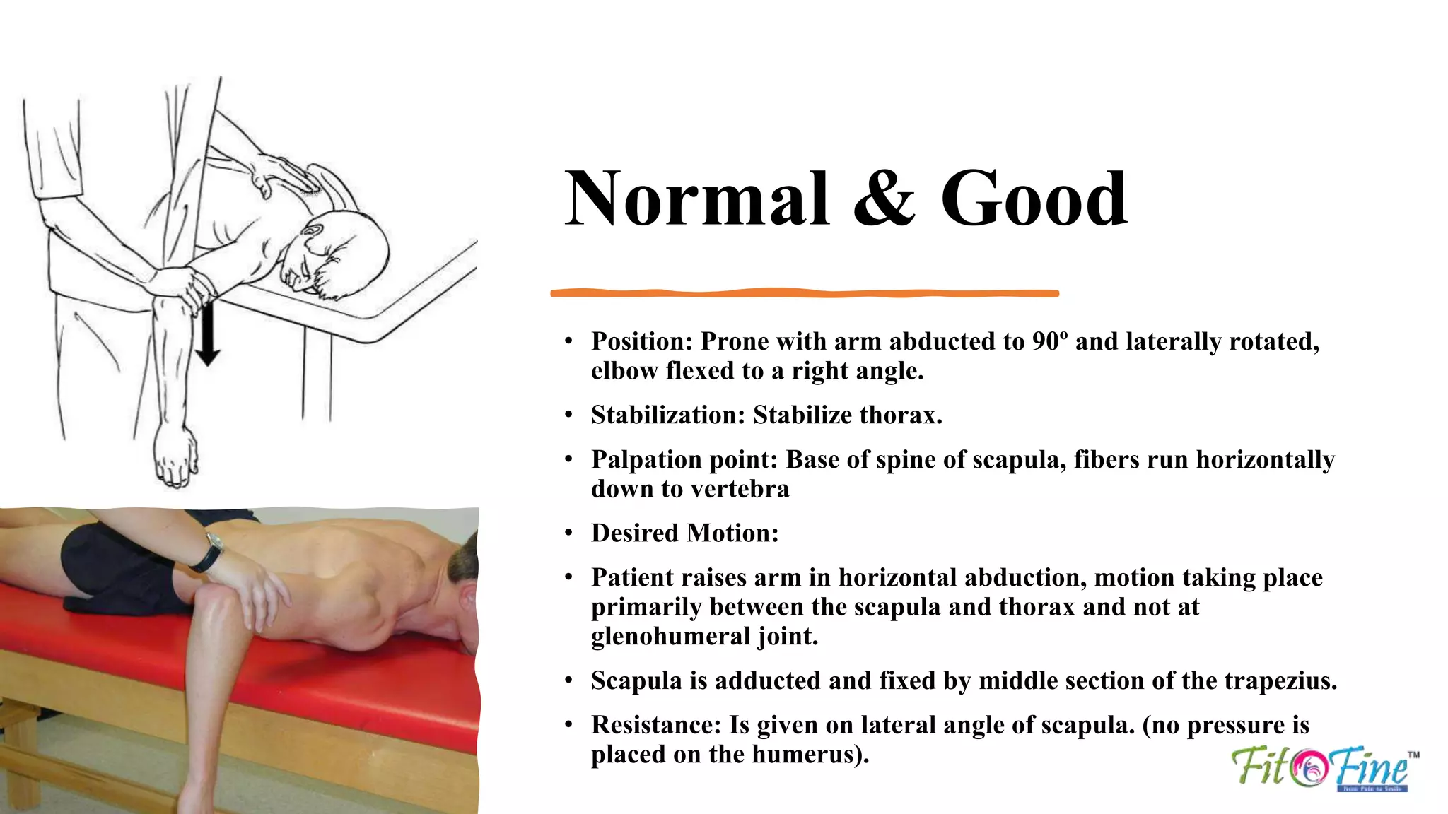 MMT Neck & Scapula.pptx