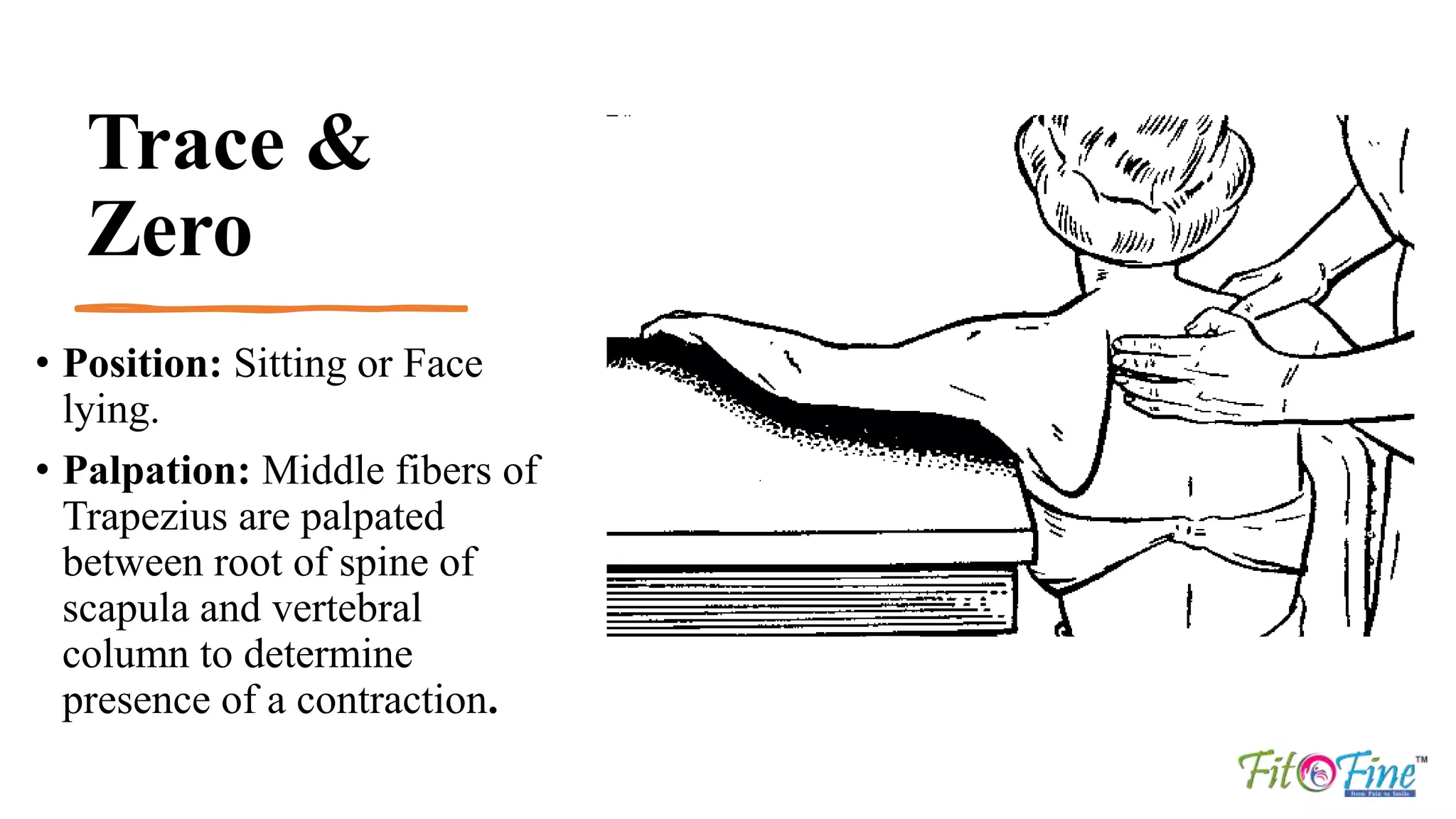 MMT Neck & Scapula.pptx