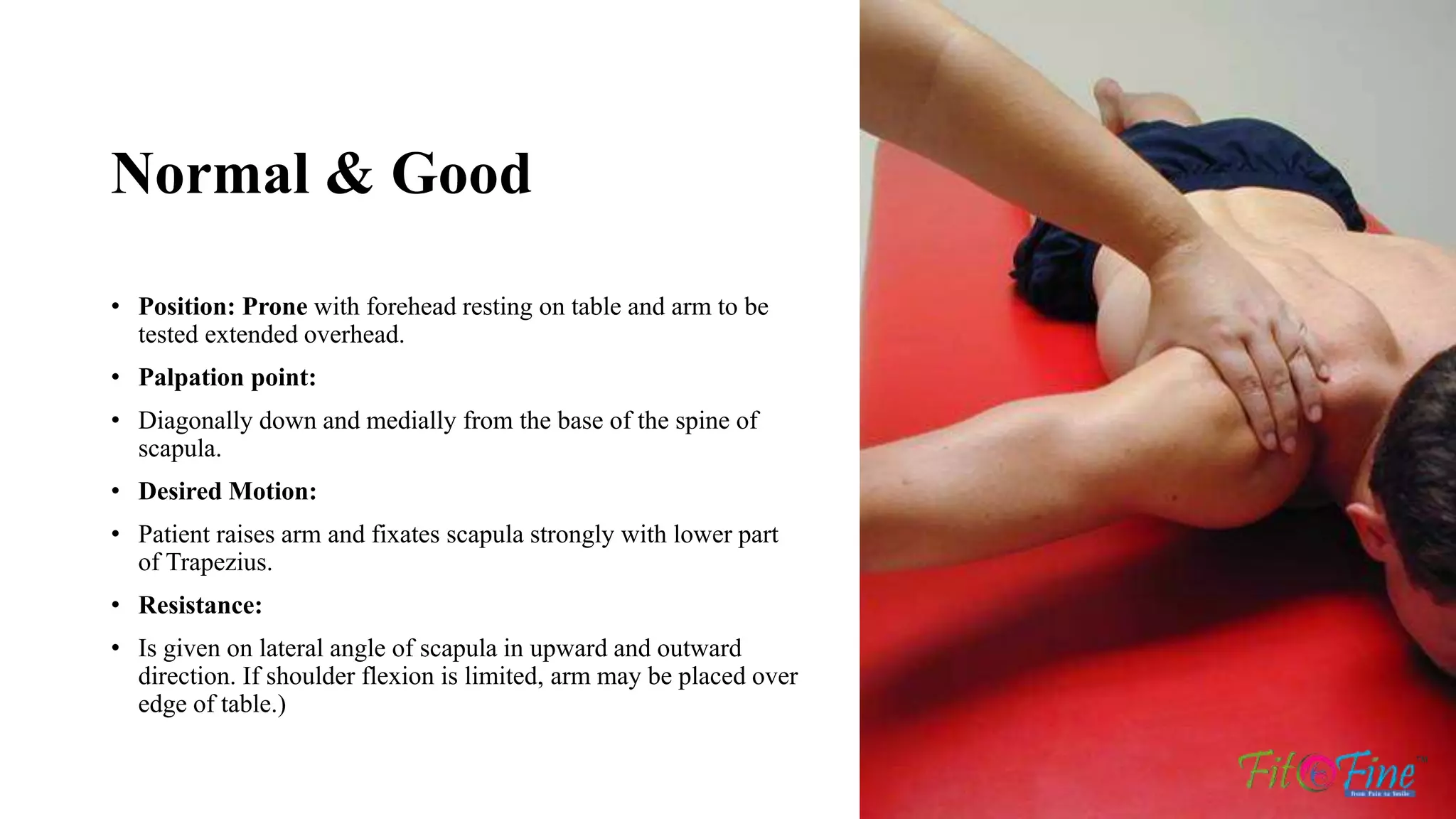 MMT Neck & Scapula.pptx